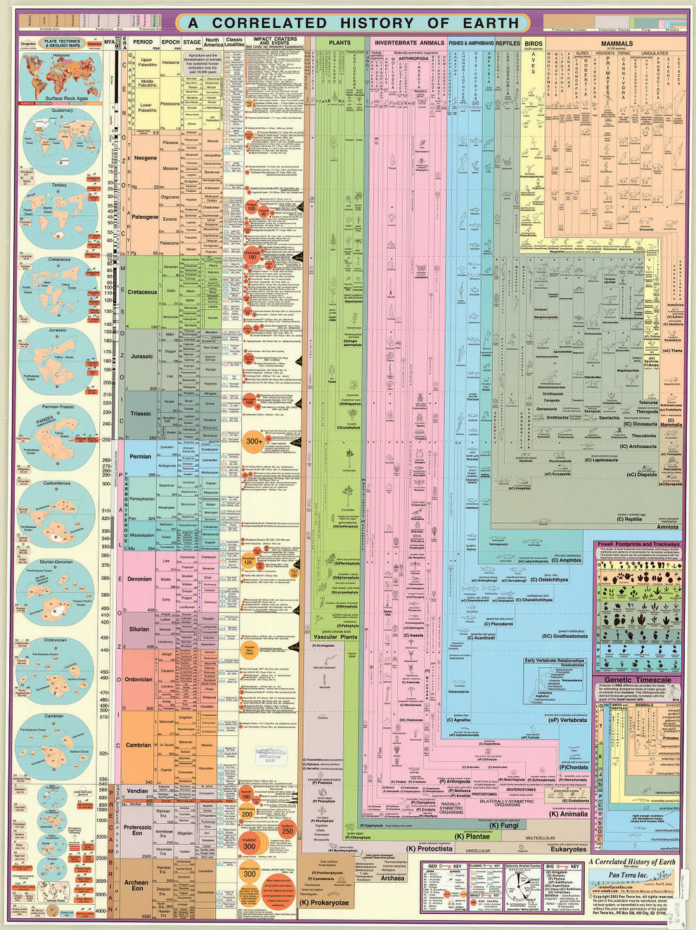 Poster - Correlated History of the Earth :BDF – DinosaurForever